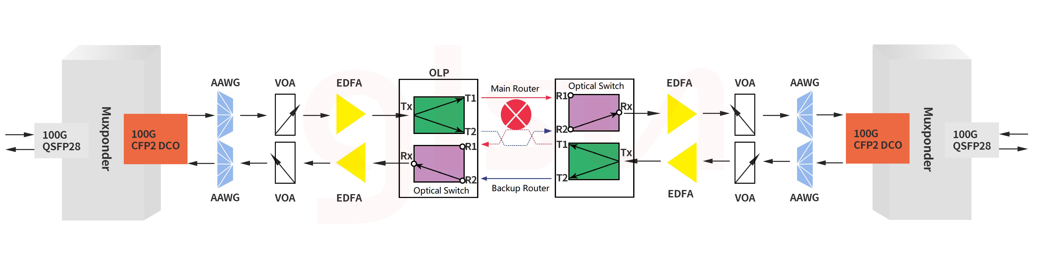 Coherent Transmission System - DCI Long Transmission