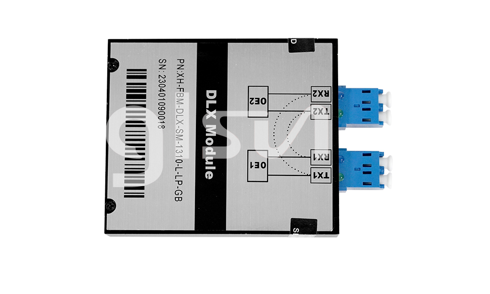 Dual Port 1.25G LX Fiber Bypass Module | High-Reliability Optical ...